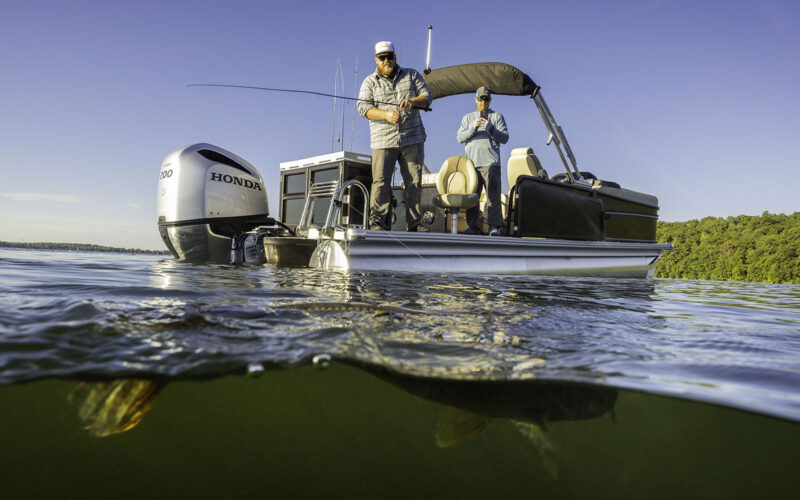 Our Most Popular: Sunsation by Premier Marine